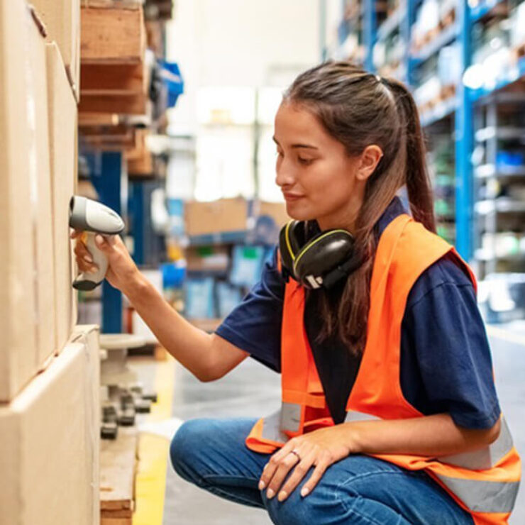 Portfolio Gallery - Forza Transportation Services