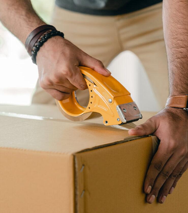 Portfolio Archive - Forza Transportation Services